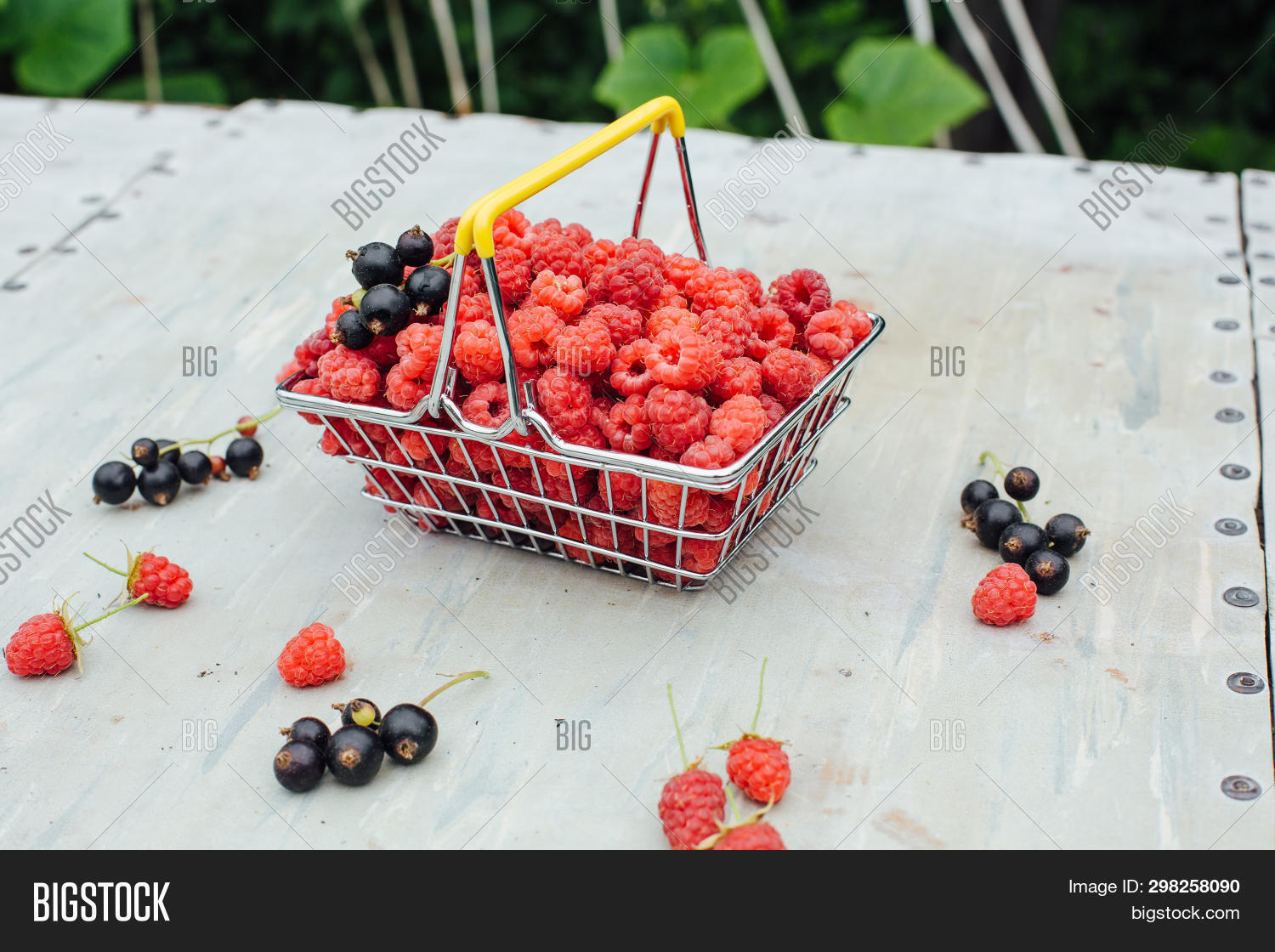 Mini Shopping Basket Image & Photo (Free Trial) | Bigstock
