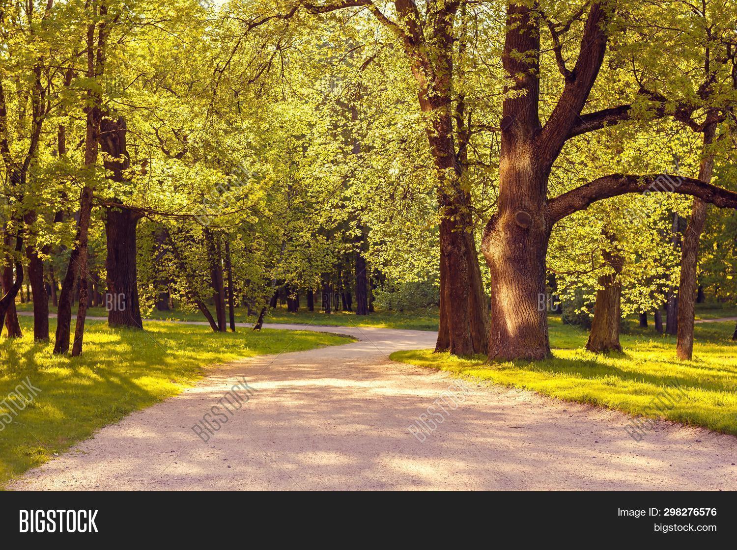 Spring Evening Park. Image & Photo (Free Trial) | Bigstock