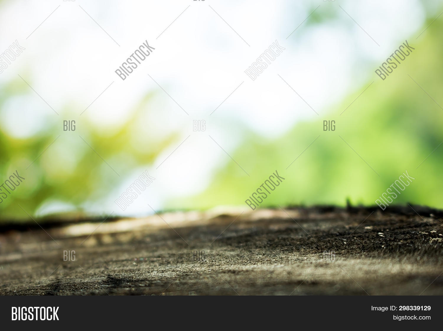 Nature Background Image & Photo (Free Trial) | Bigstock