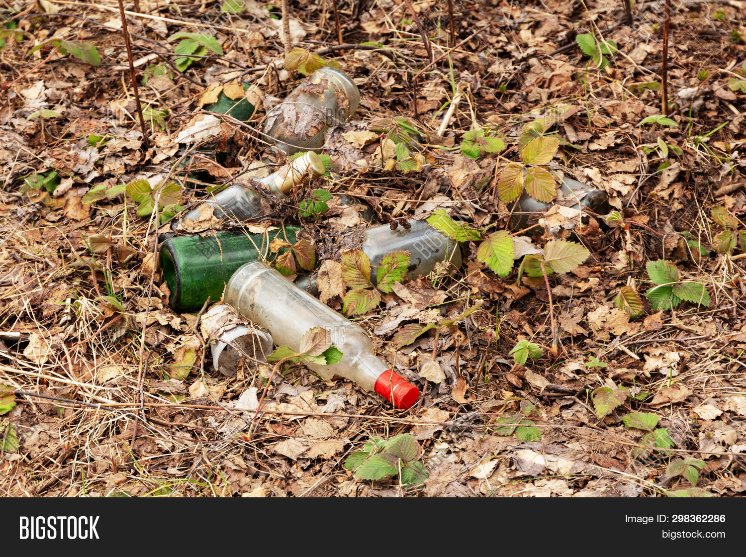 Many Empty Glass Image & Photo (Free Trial) | Bigstock