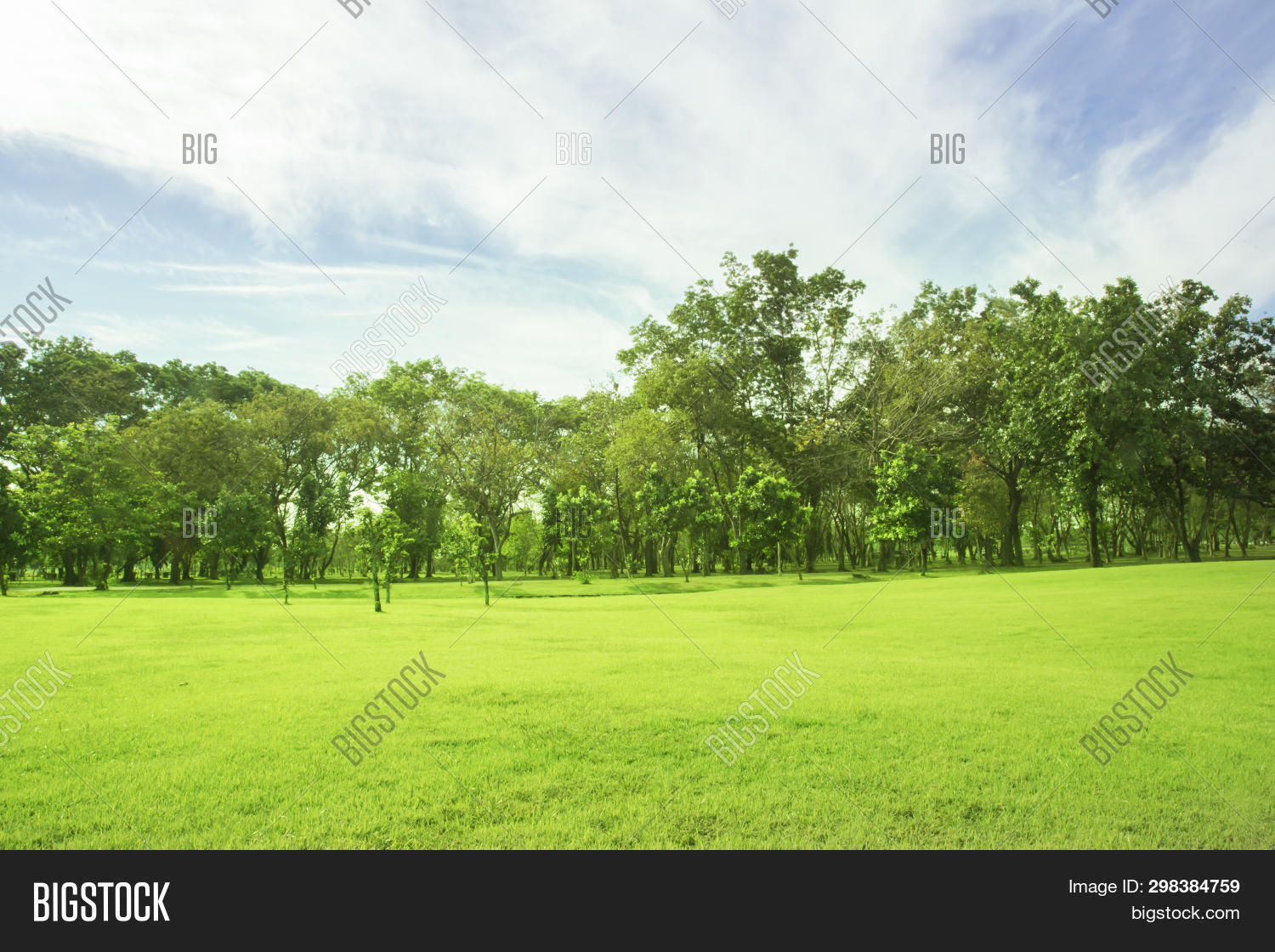 Green Lawn Wide Image & Photo (Free Trial) | Bigstock