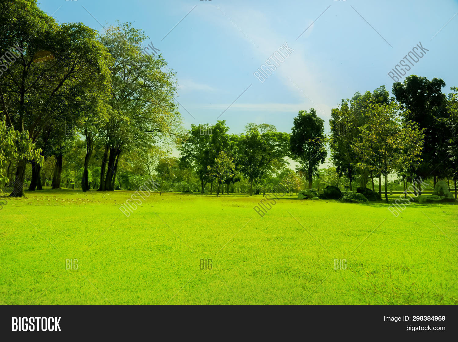 Green Trees Beautiful Image & Photo (Free Trial) | Bigstock
