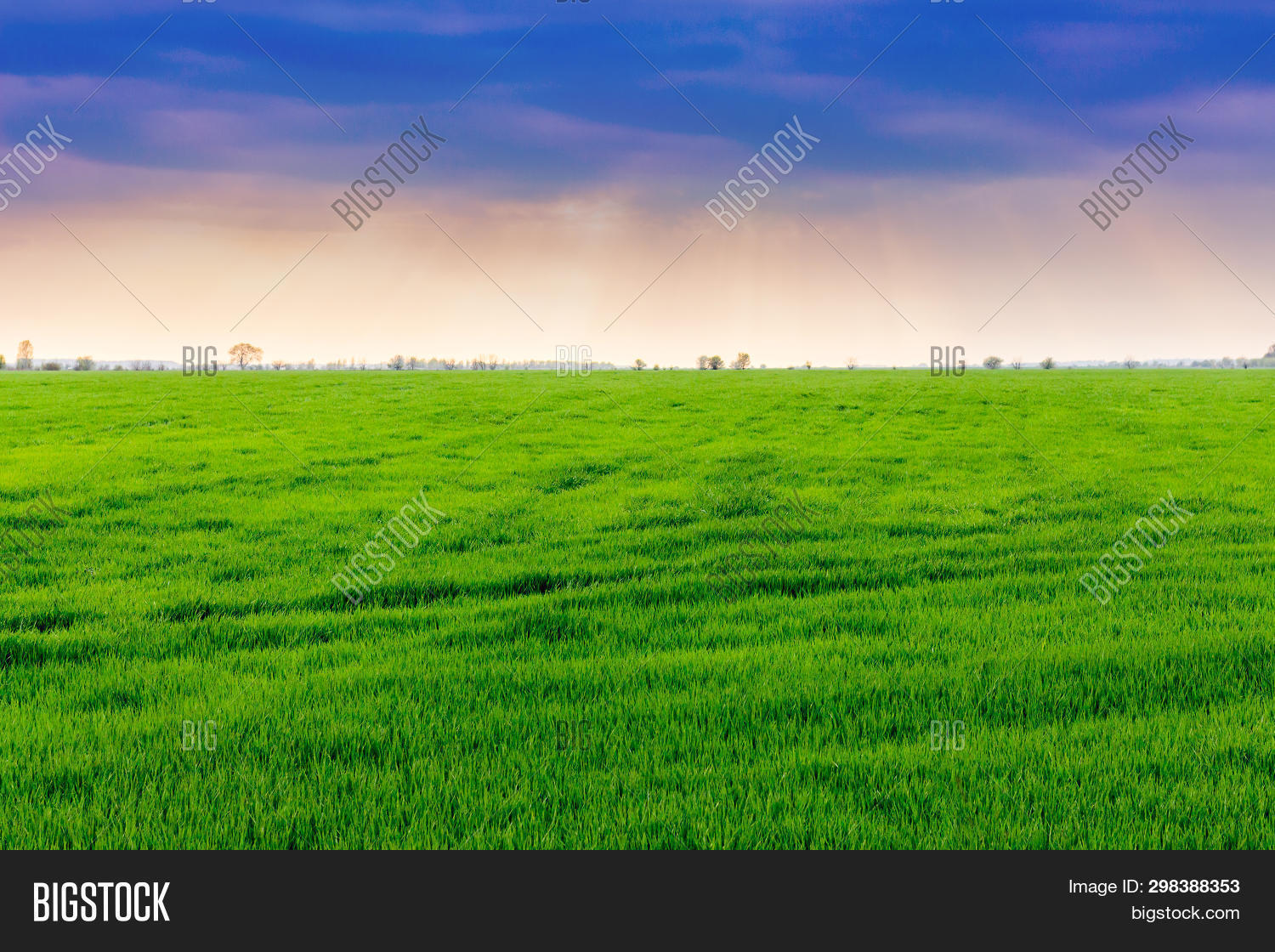Field Bright Green Image & Photo (Free Trial) | Bigstock