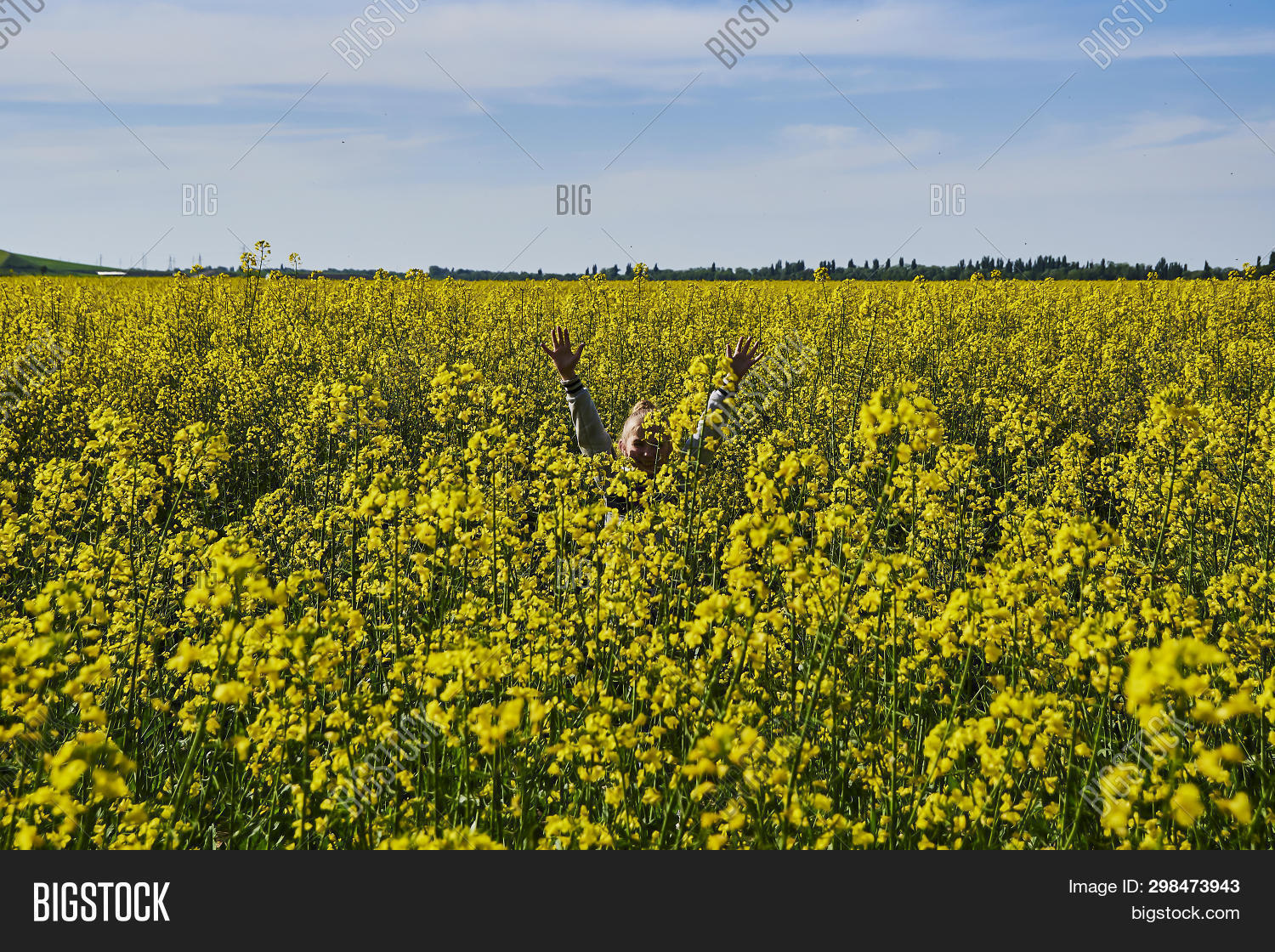 Rapeseed Field Plant. Image & Photo (Free Trial) | Bigstock