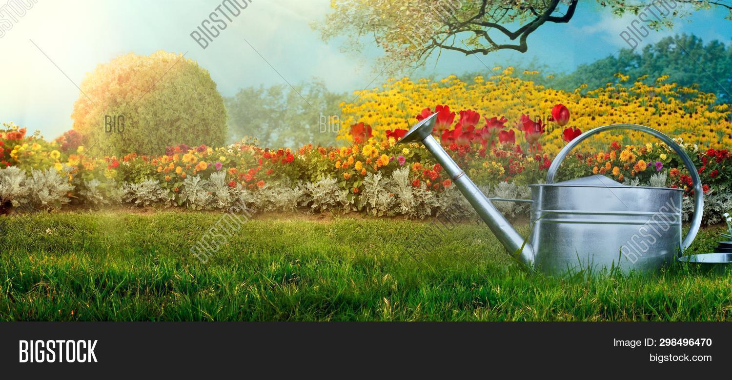 Spring Garden. Water Image & Photo (Free Trial) | Bigstock