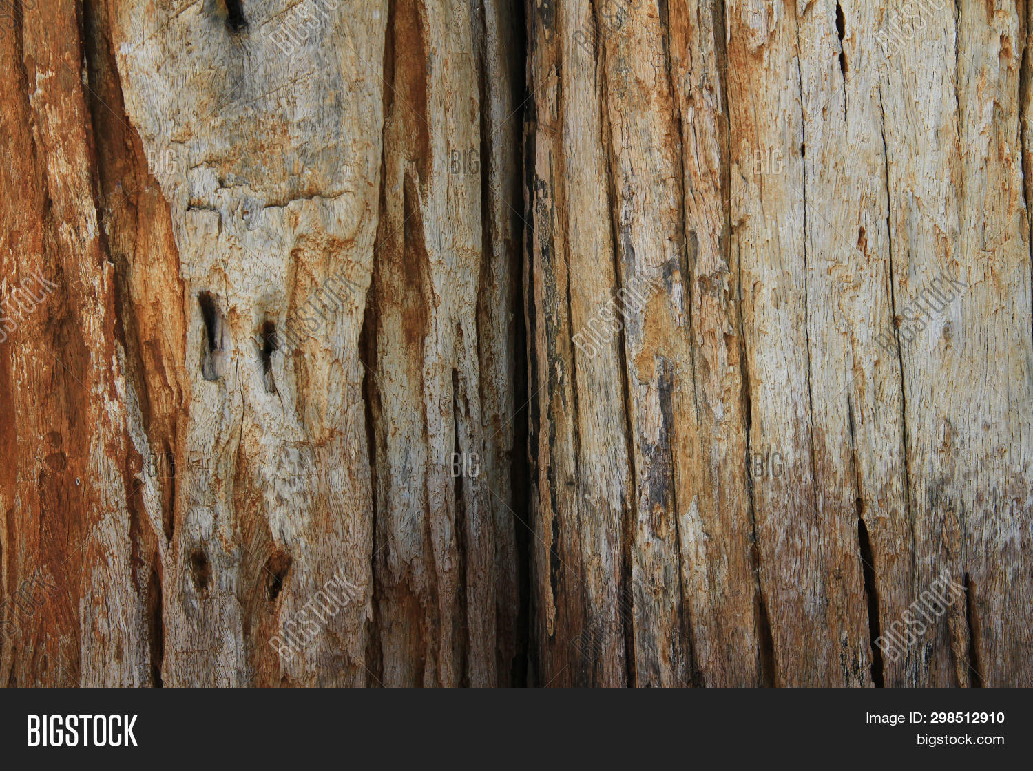 Wood Texture. Old Log Image & Photo (Free Trial) | Bigstock