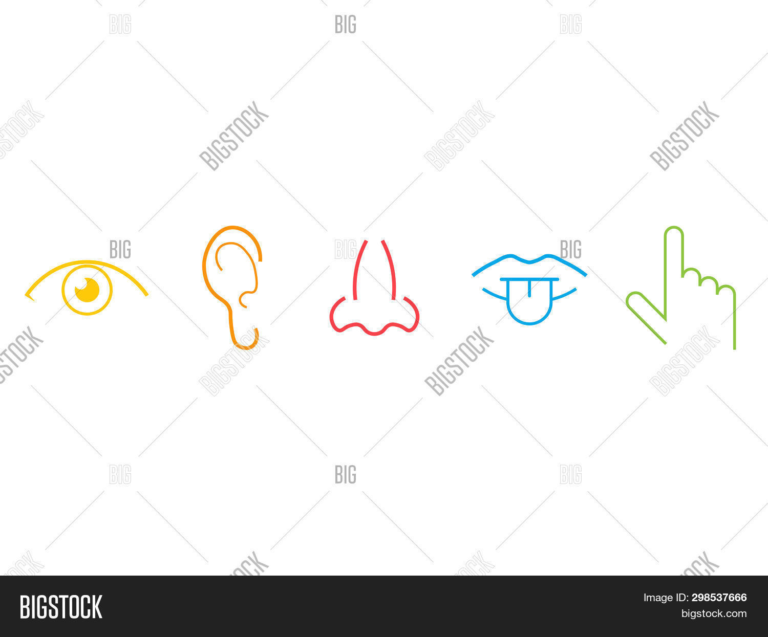 Five Senses Simple Image & Photo (Free Trial) | Bigstock