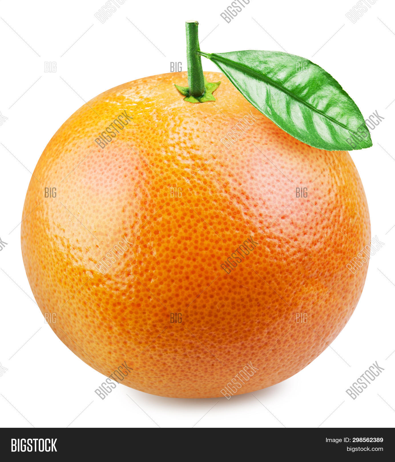 One Perfect Grapefruit Image & Photo (Free Trial) | Bigstock