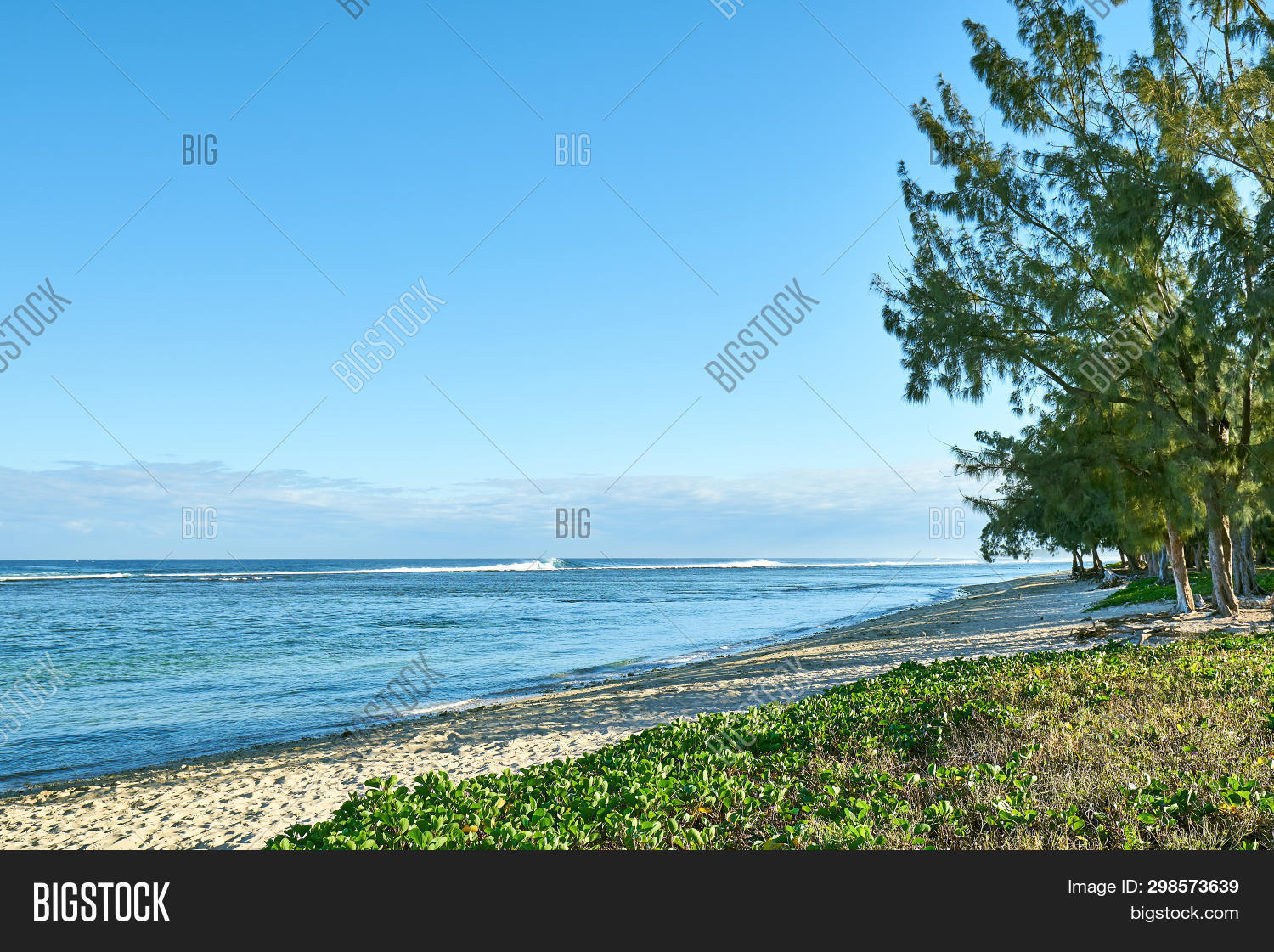 Beach Reunion Island, Image & Photo (Free Trial) | Bigstock