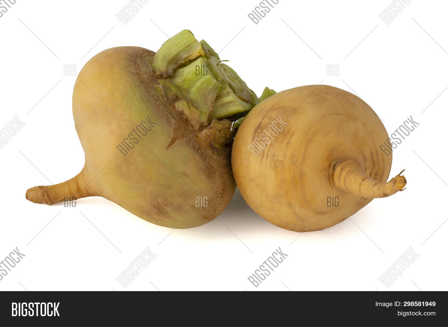 Fruit Fresh Turnip Image & Photo (Free Trial) | Bigstock