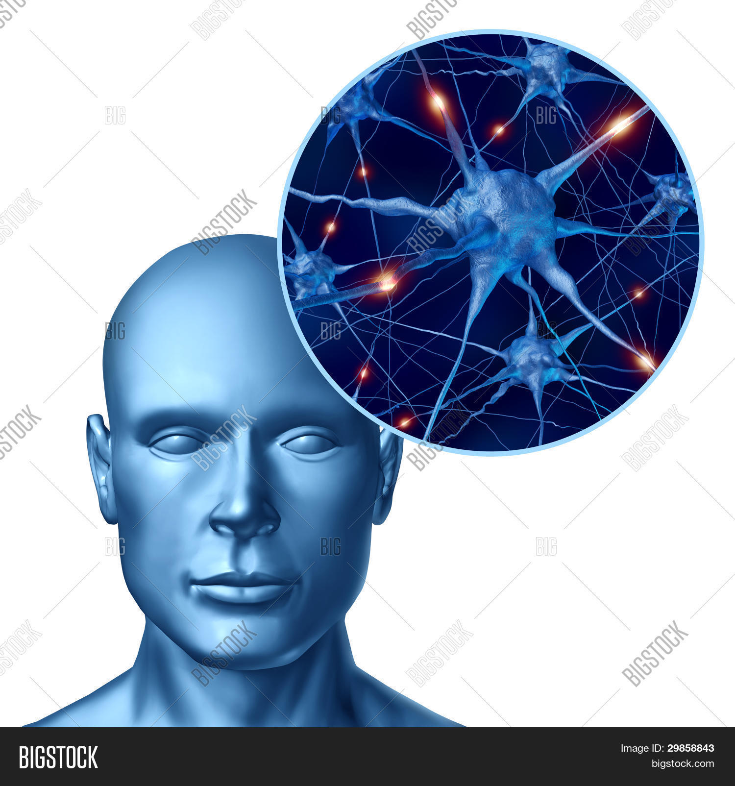 Human Intelligence Image & Photo (Free Trial) | Bigstock