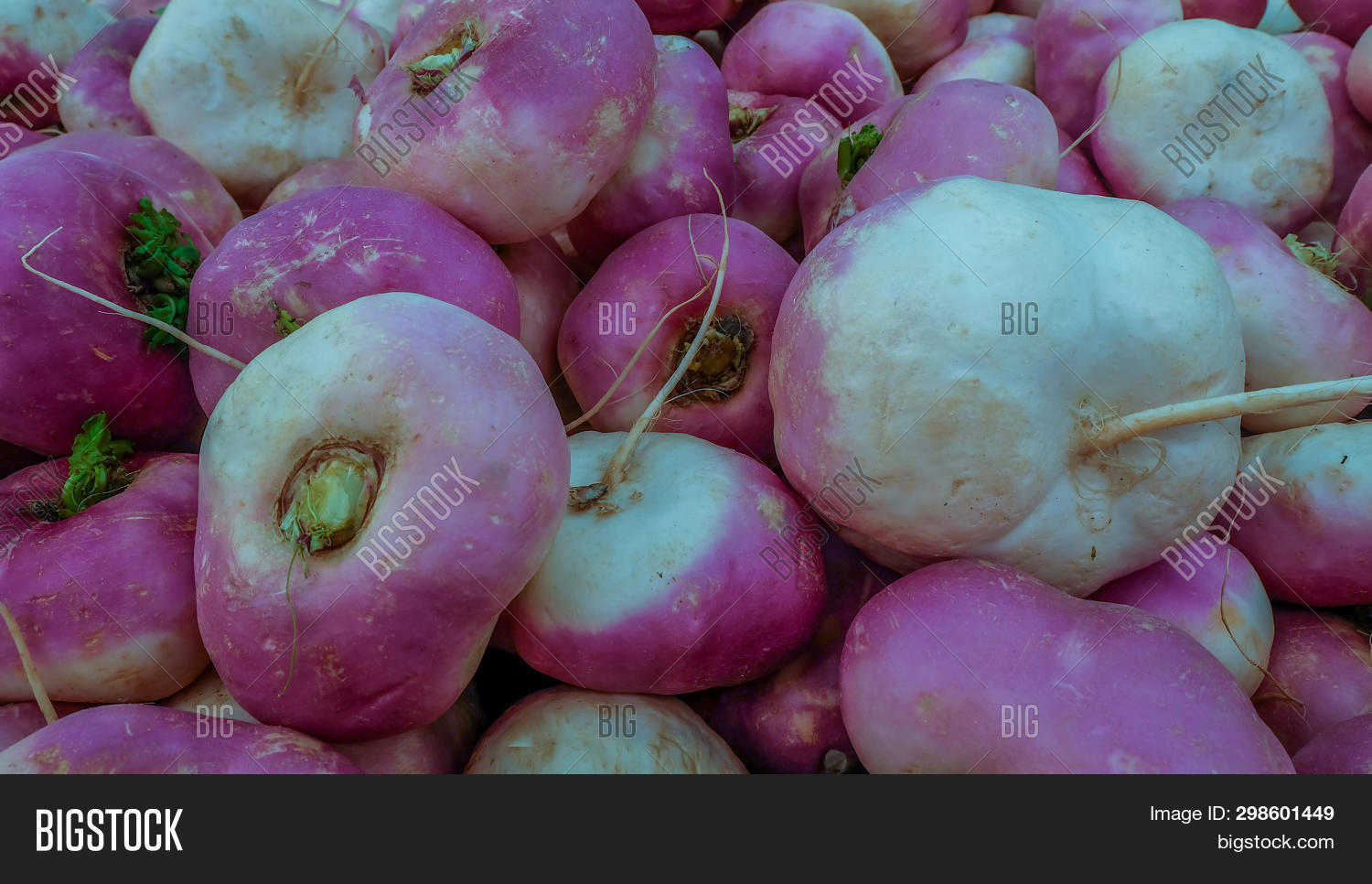 Bunch Loose Turnips Image & Photo (Free Trial) | Bigstock