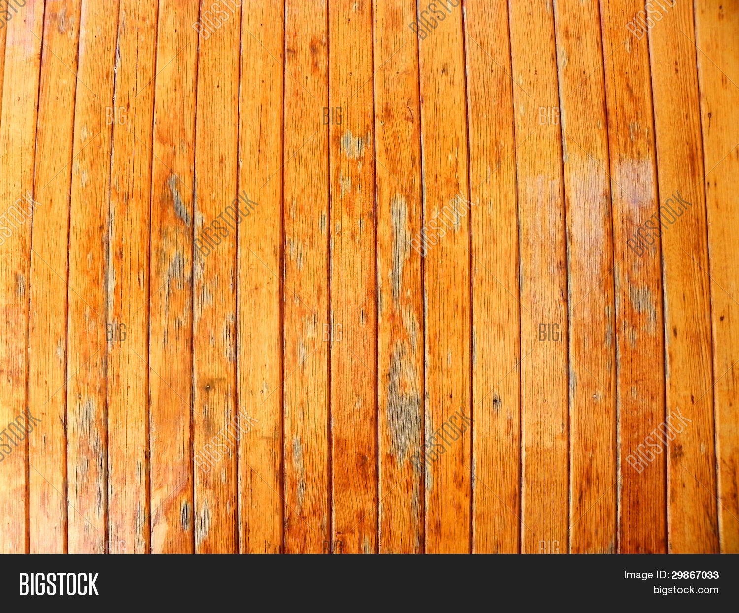 Australian Pine Timber Image & Photo (Free Trial) | Bigstock