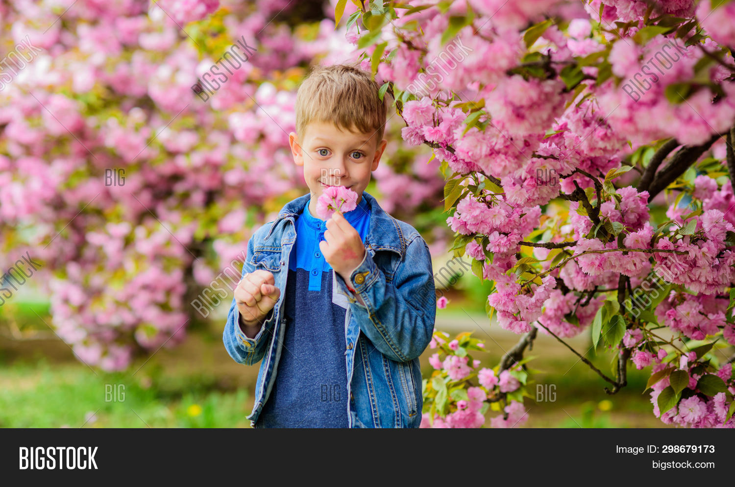 Adorable Boy Sniffing Image & Photo (Free Trial) | Bigstock