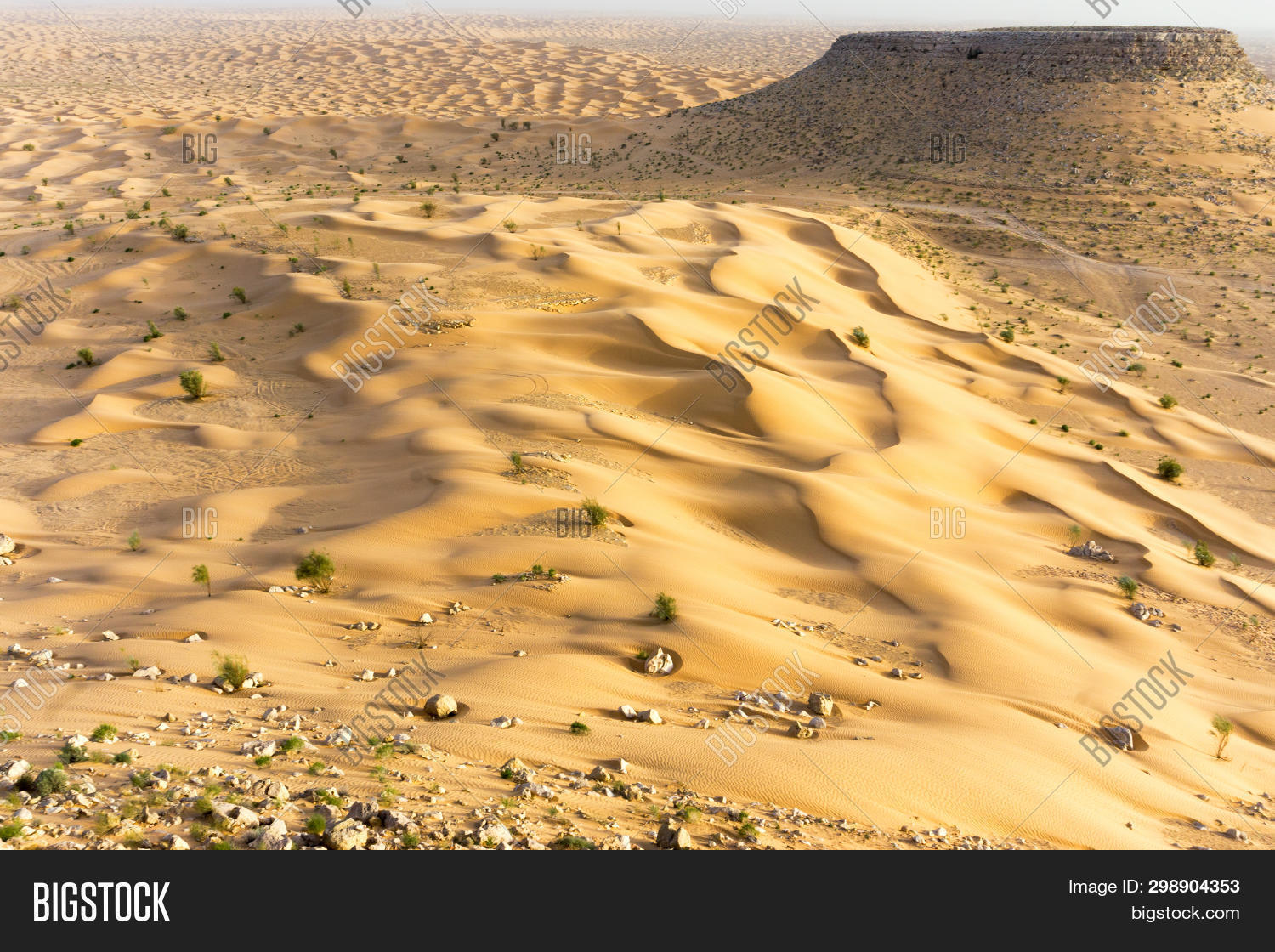 Panoramic Dunes Mound Image & Photo (Free Trial) | Bigstock