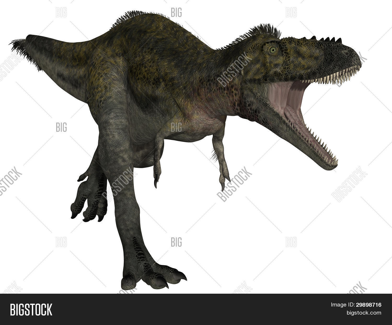 Alioramus - 3D Image & Photo (Free Trial) | Bigstock