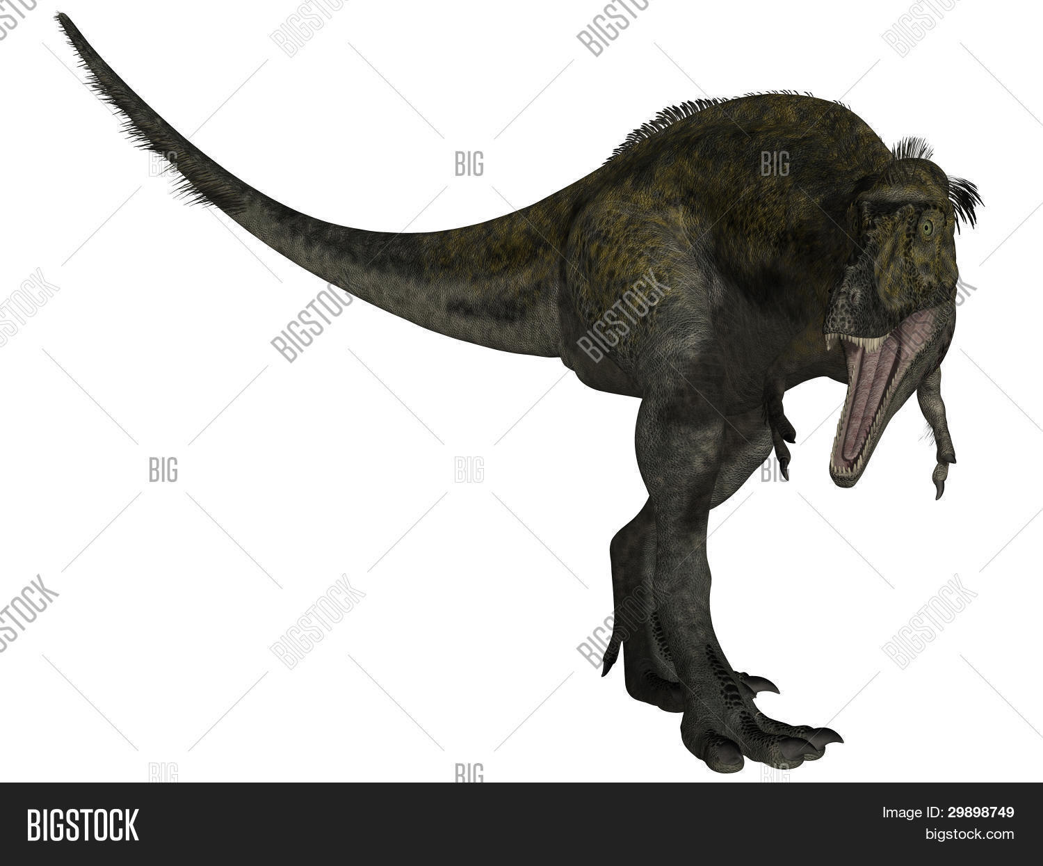 Alioramus - 3D Image & Photo (Free Trial) | Bigstock