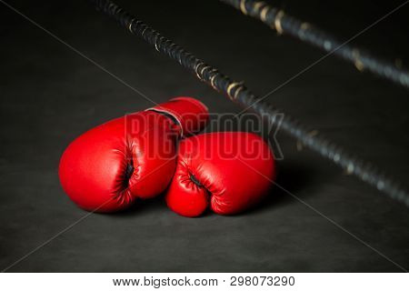 Red Boxing Sports, Image & Photo (Free Trial) | Bigstock
