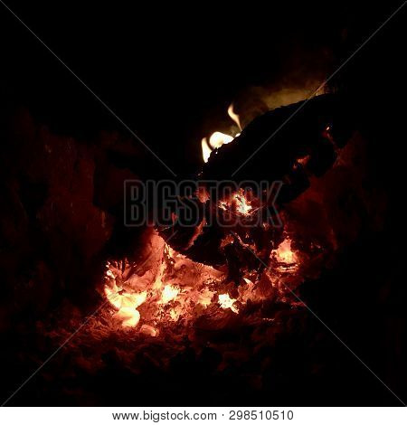 Beautiful Flame Brown Image & Photo (Free Trial) | Bigstock