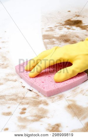 Hand Cleaning Counter Image & Photo (Free Trial) | Bigstock