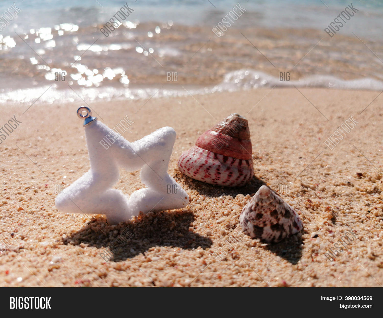 Seashells Christmas Image & Photo (Free Trial) | Bigstock