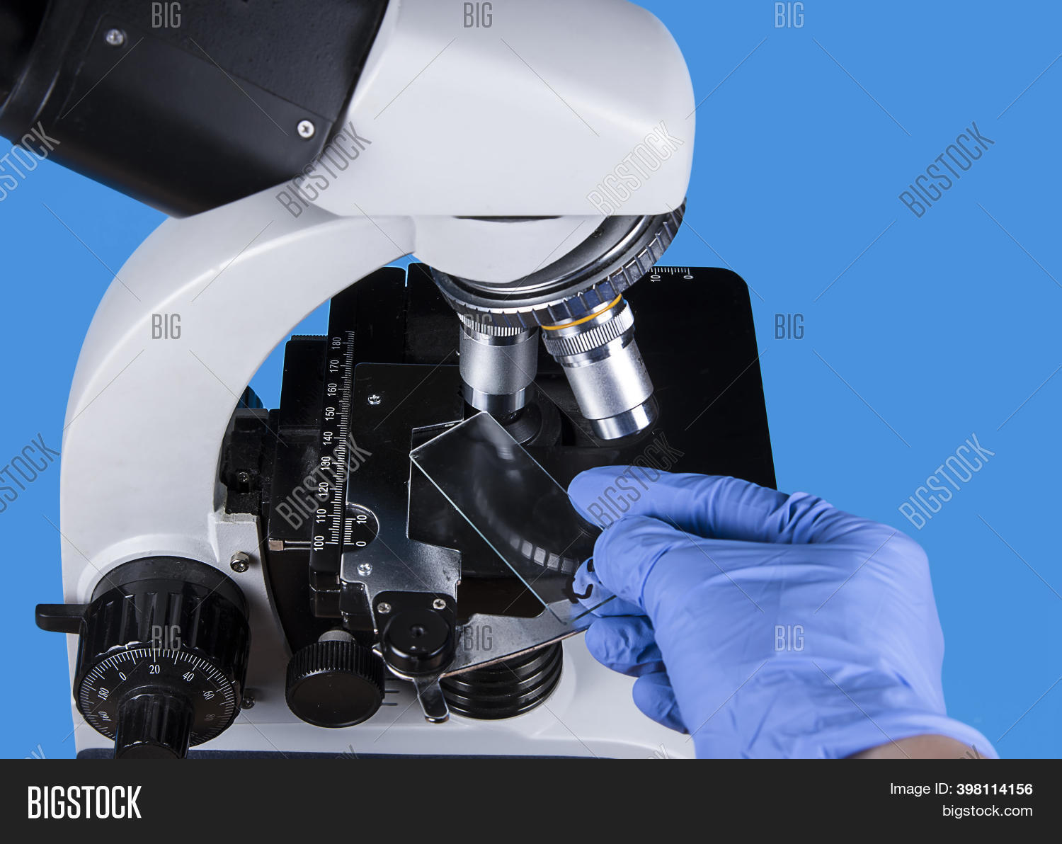 Light Microscope Image & Photo (Free Trial) | Bigstock