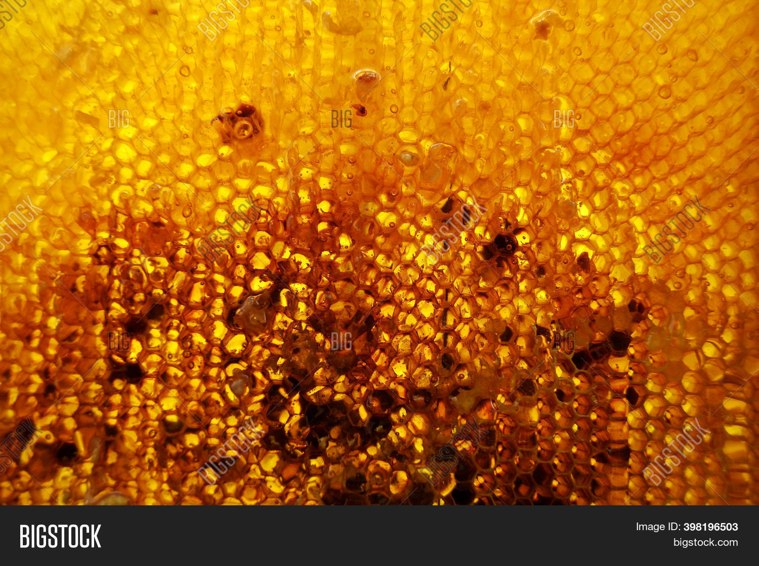 Drop Bee Honey Drip Image & Photo (Free Trial) | Bigstock