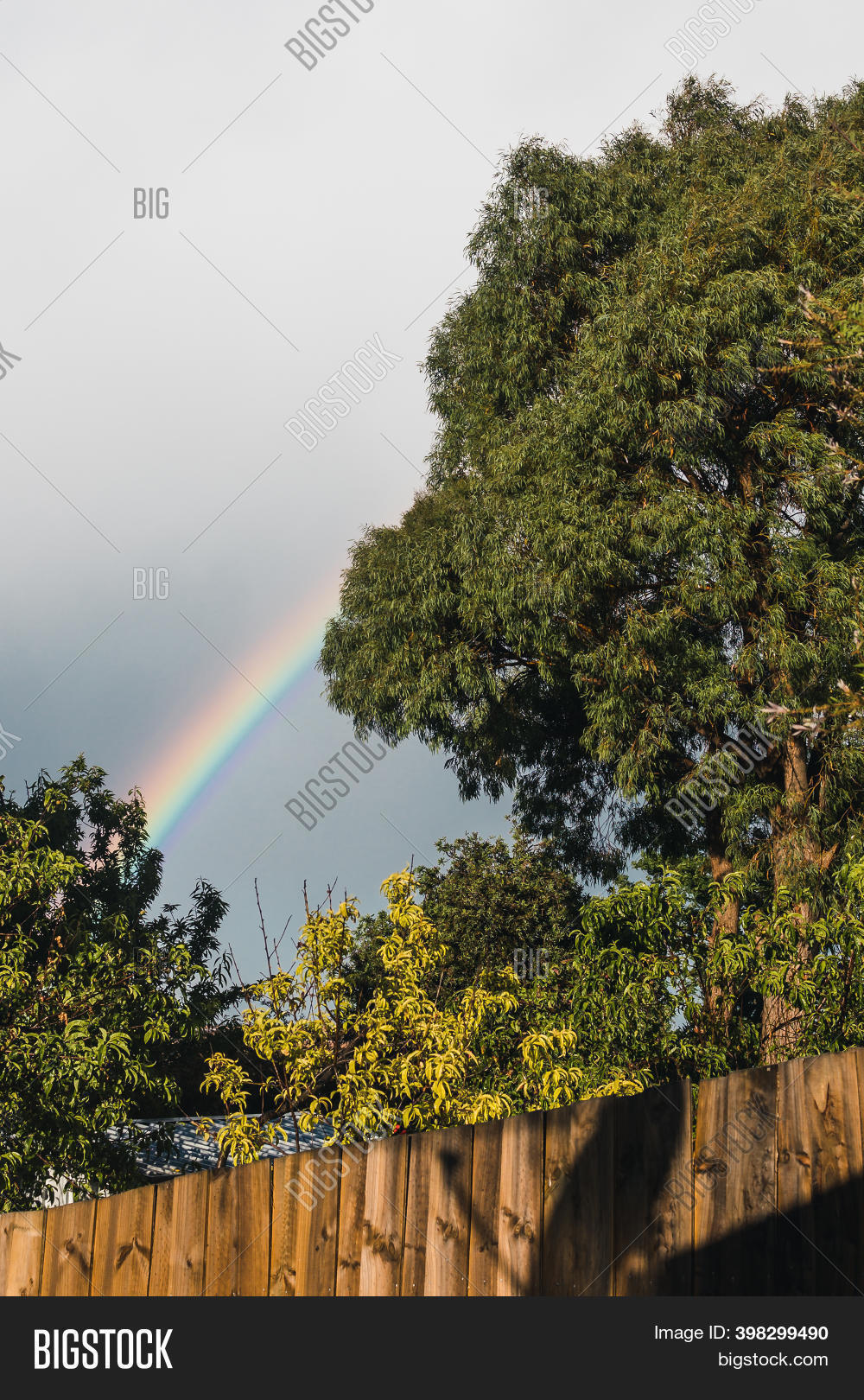 Tasmanian Backyard Image & Photo (Free Trial) | Bigstock