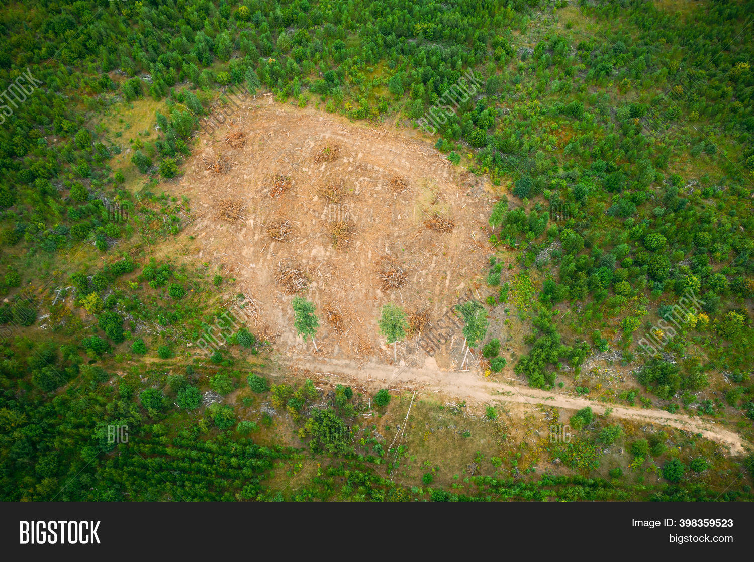 Elevated Aerial View Image & Photo (Free Trial) | Bigstock