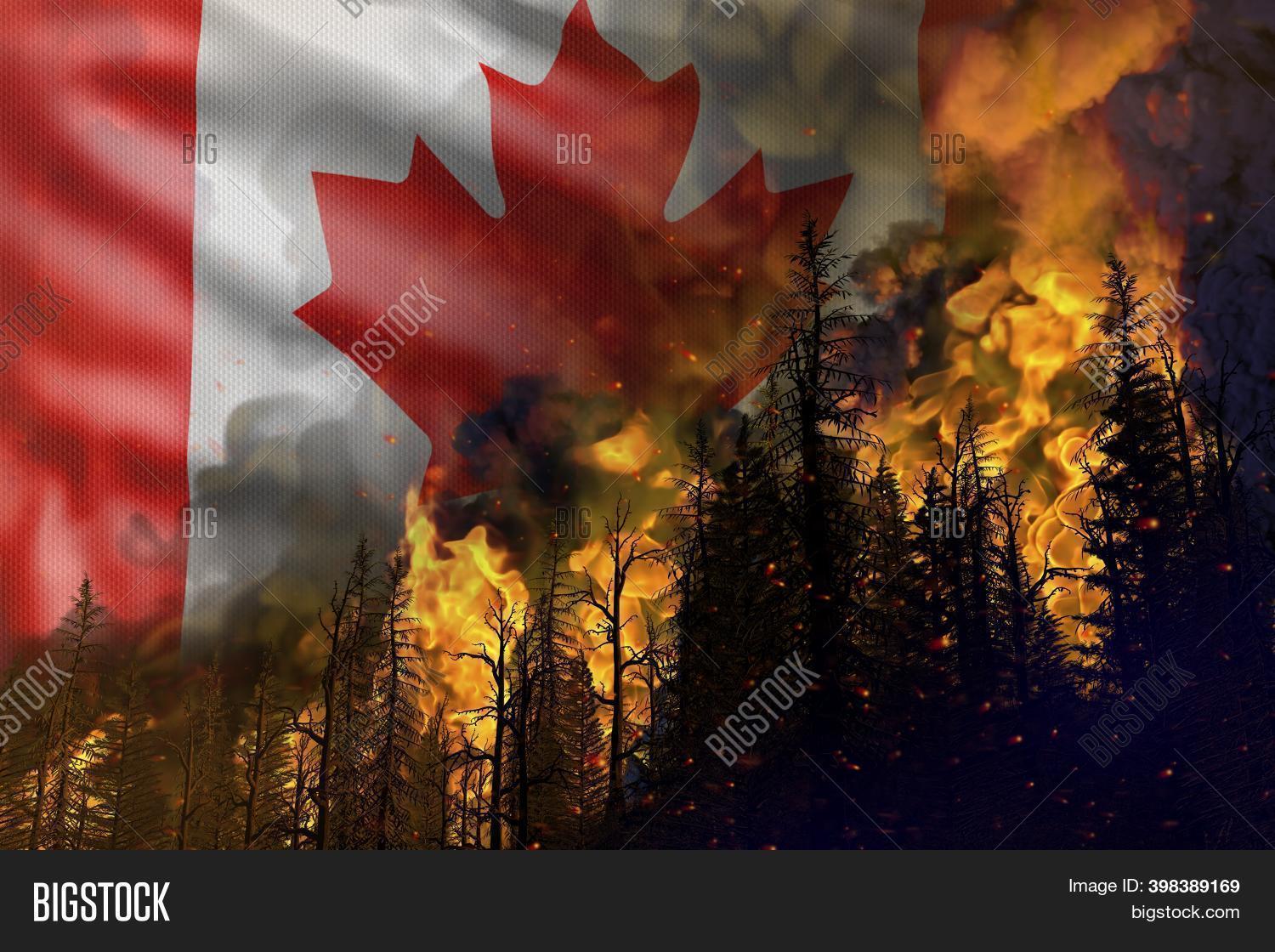 Forest Fire Fight Image & Photo (Free Trial) | Bigstock