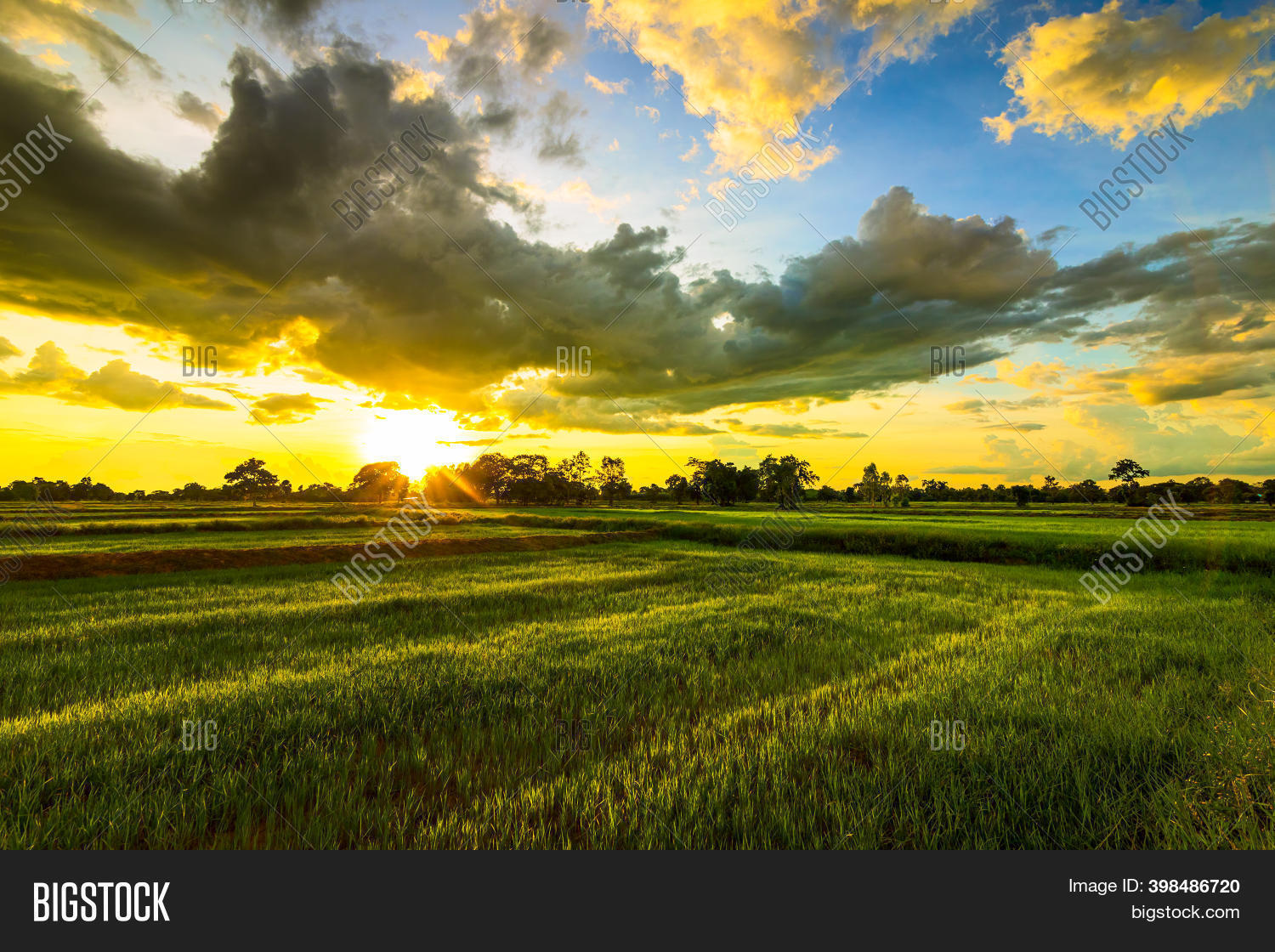 Green Field Sunset Image & Photo (Free Trial) | Bigstock