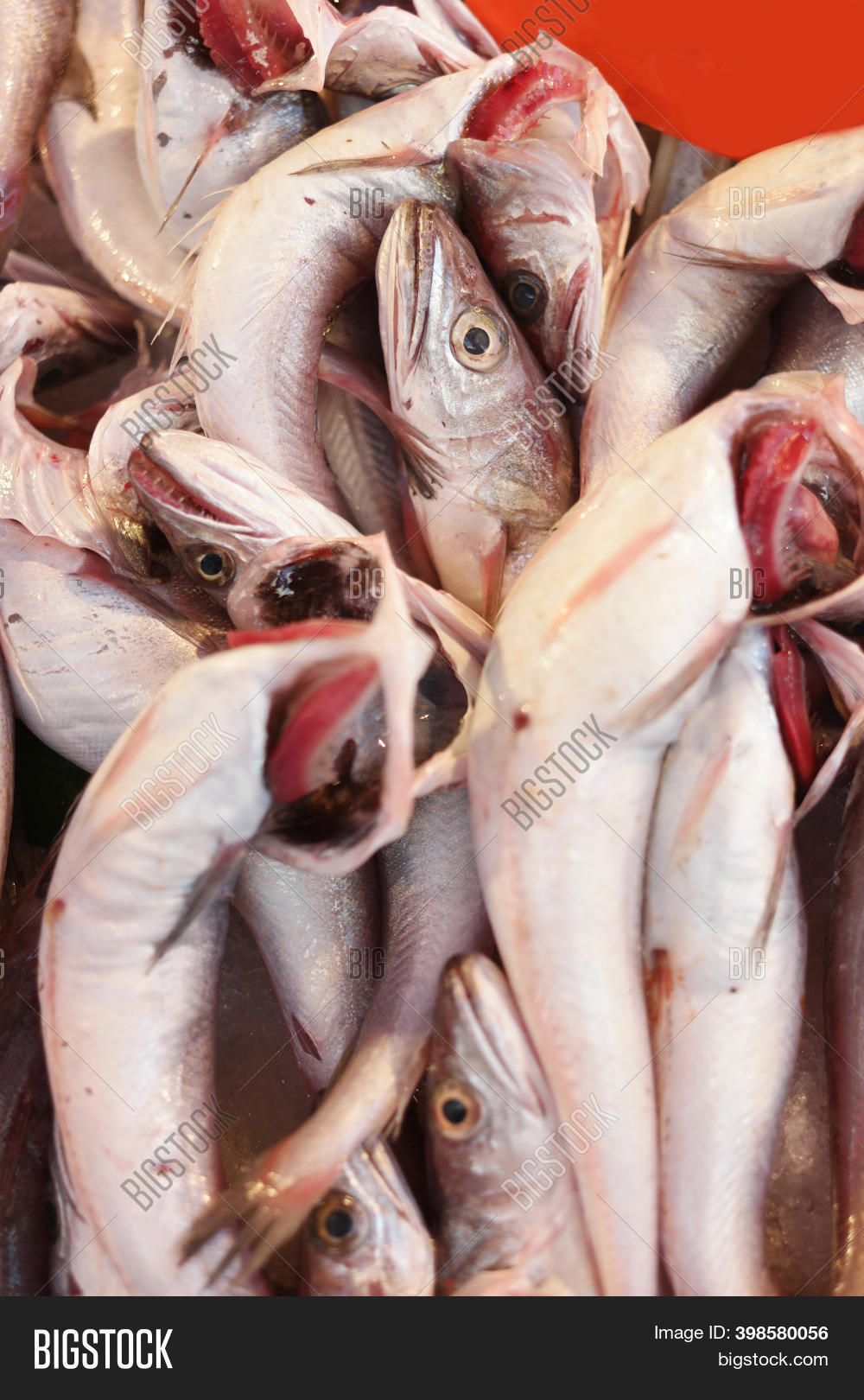 Pile Raw Fish Close . Image & Photo (Free Trial) | Bigstock
