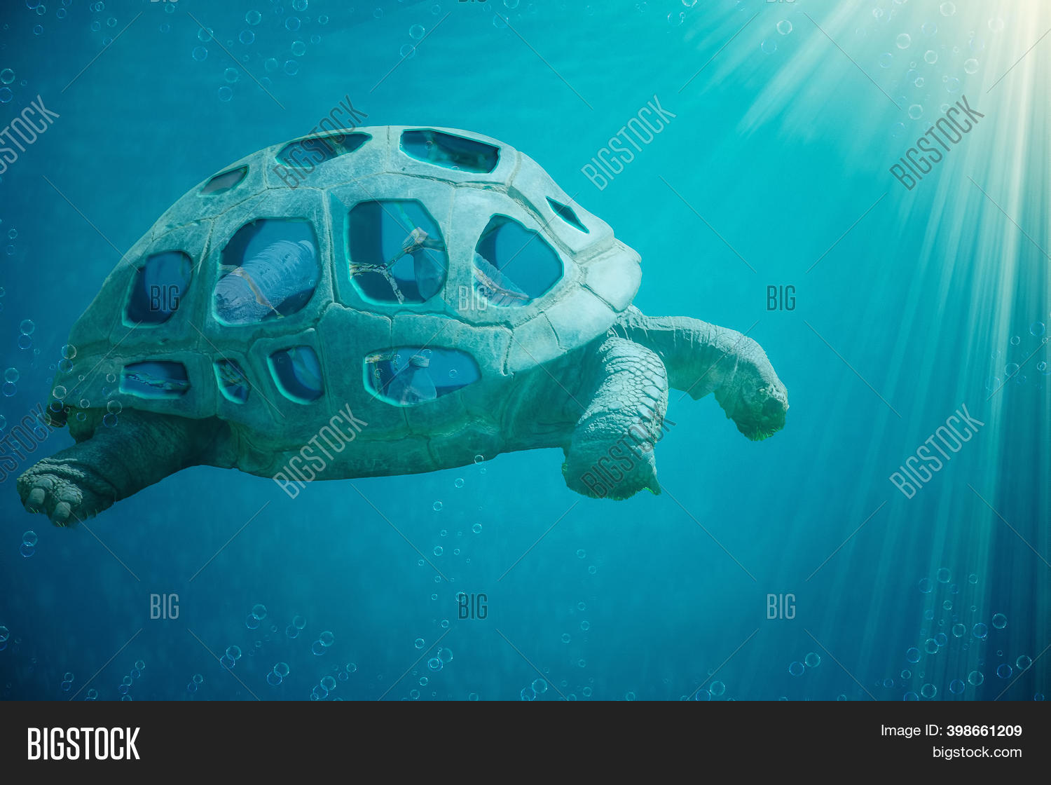 Turtle Carrying Image & Photo (Free Trial) | Bigstock