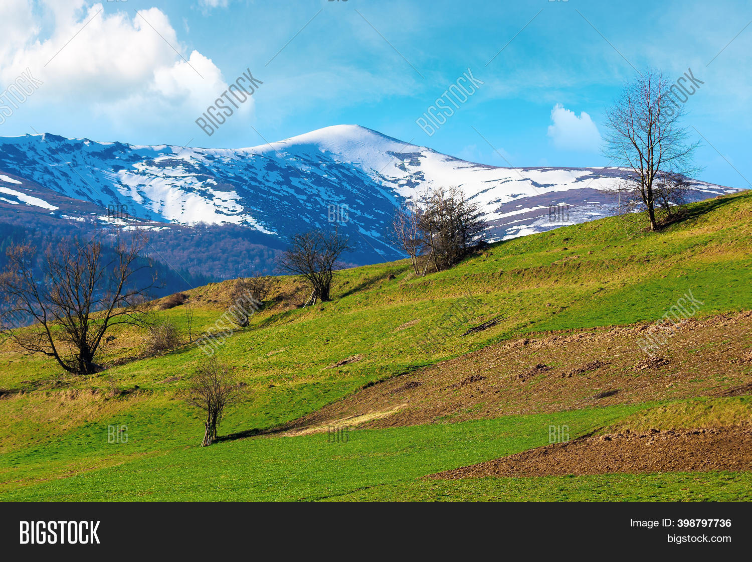 Rural Field On Hill Image & Photo (Free Trial) | Bigstock