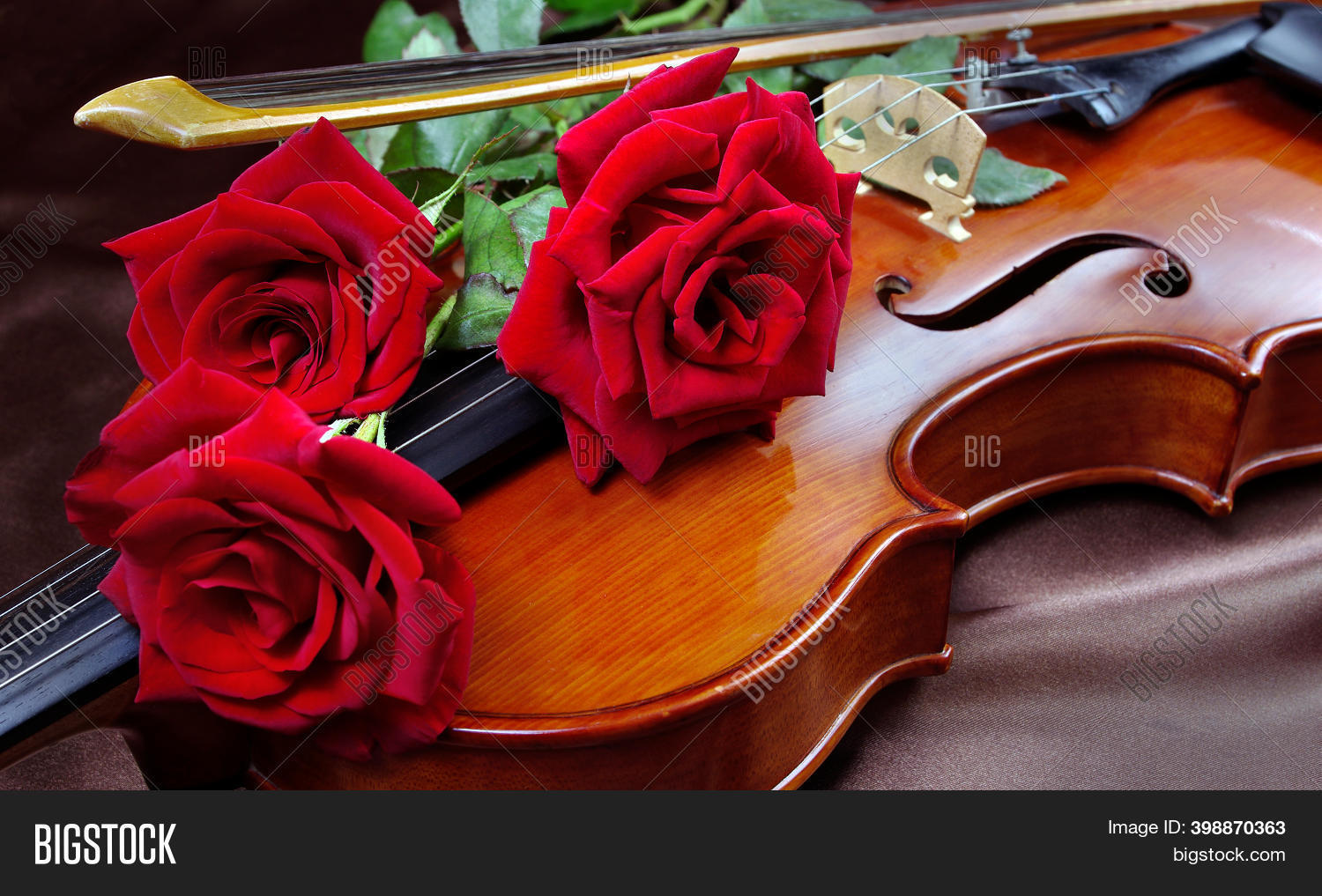 Red Roses Violin Close Image & Photo (Free Trial) | Bigstock