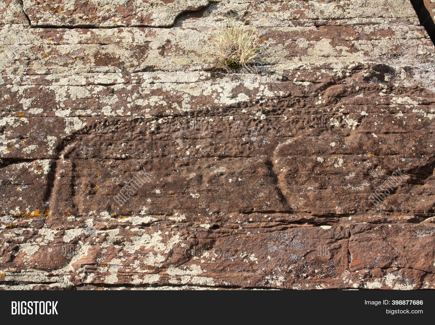 Ancient Rock Carvings Image & Photo (Free Trial) | Bigstock