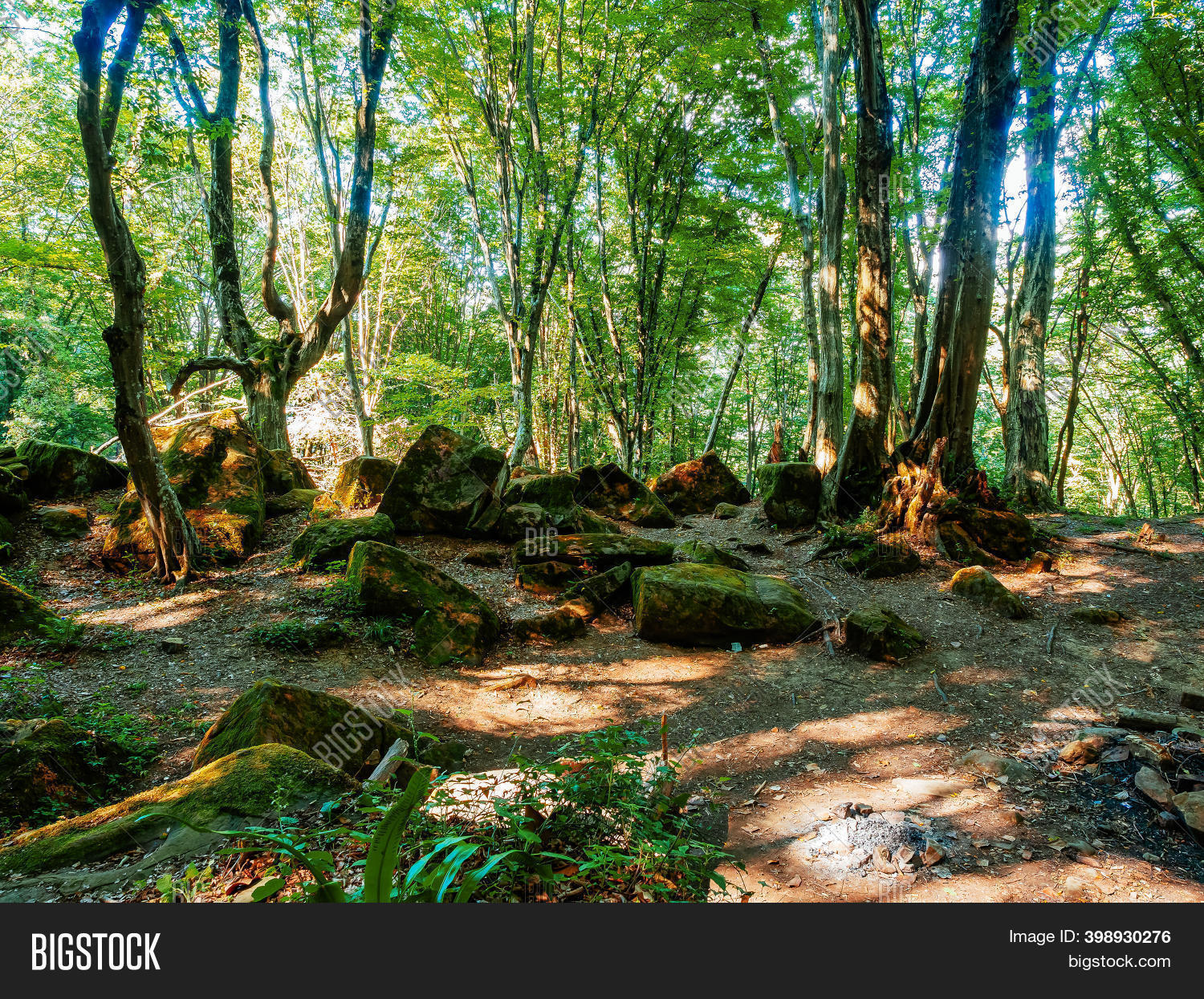Large Stones Overgrown Image & Photo (Free Trial) | Bigstock