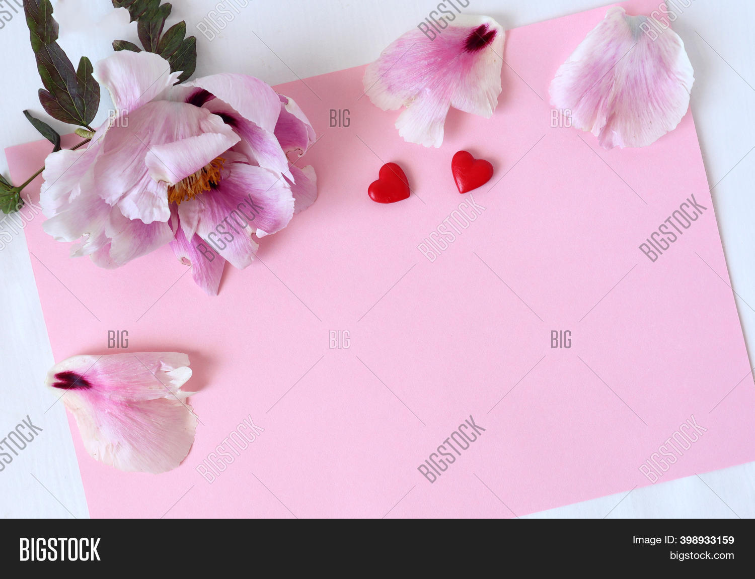 Peony Flower Scattered Image & Photo (Free Trial) | Bigstock
