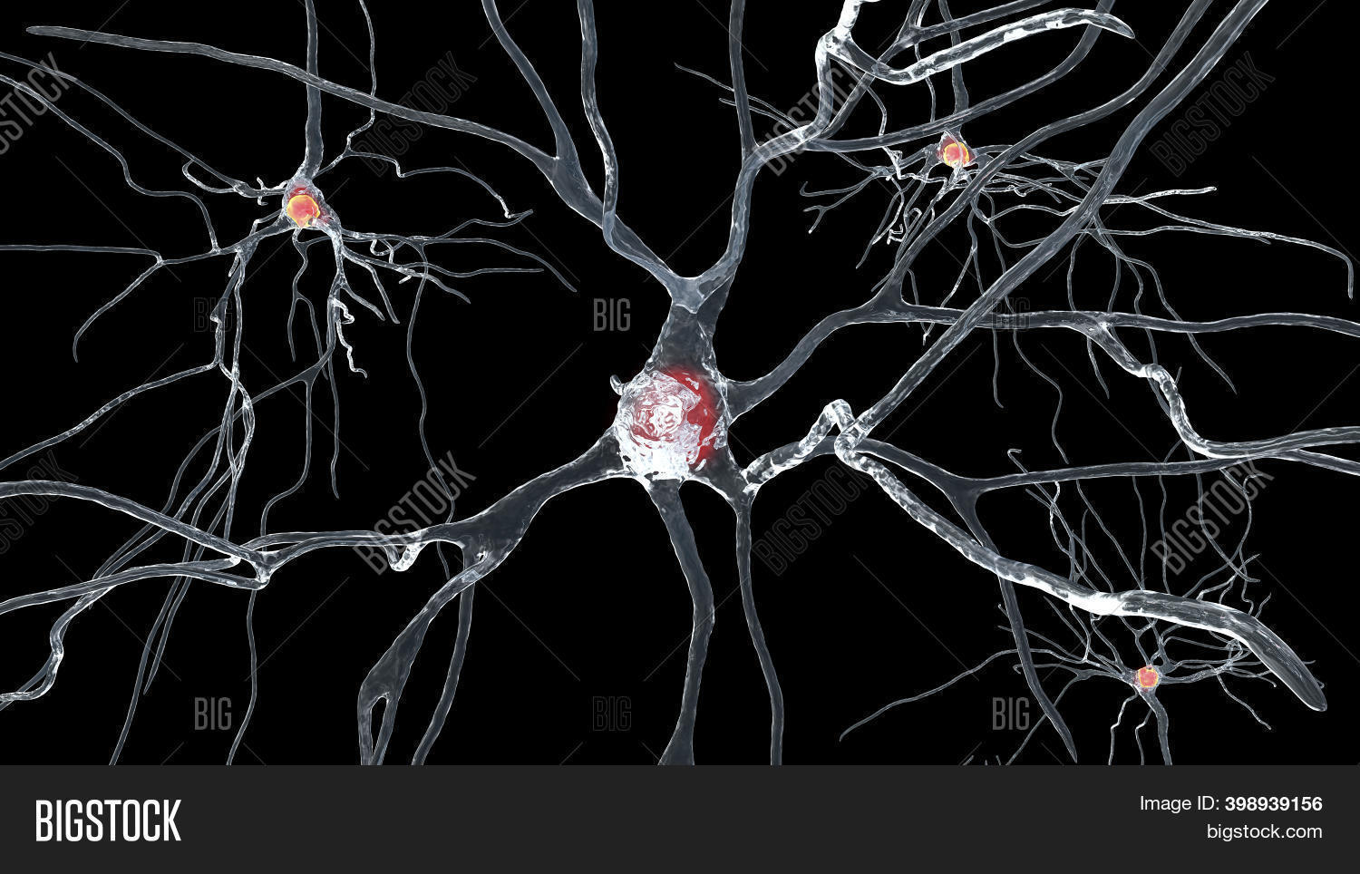 Neurons, 3d Image & Photo (Free Trial) | Bigstock