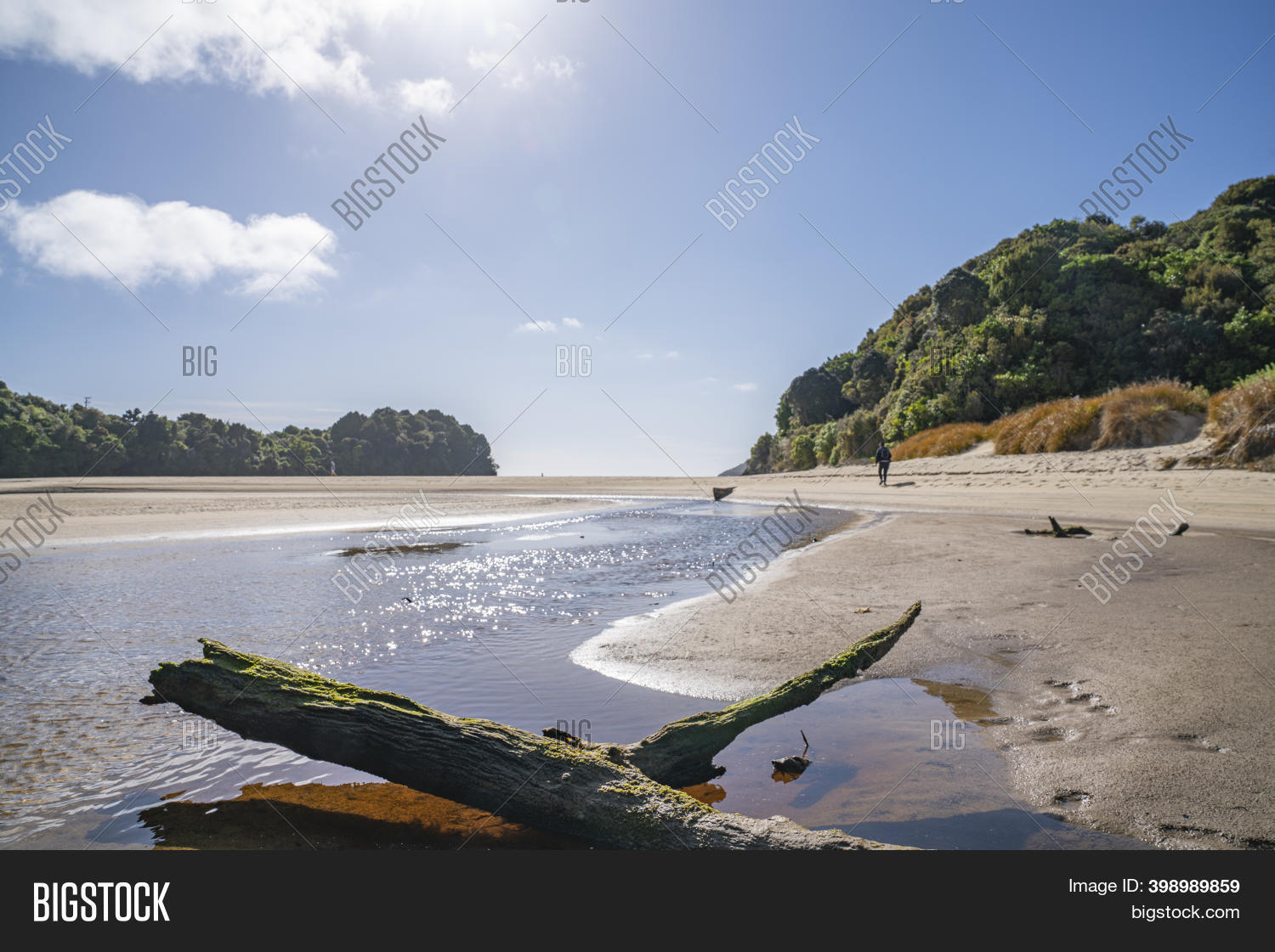 Shallow Stream Old Log Image & Photo (Free Trial) | Bigstock
