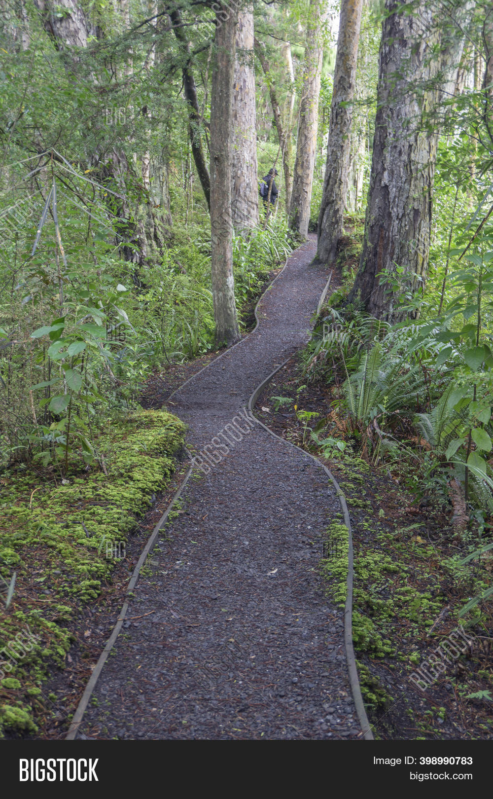 Gravel Path Winding Image & Photo (Free Trial) | Bigstock