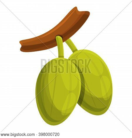 Cutted Shea Tree Vector & Photo (Free Trial) | Bigstock