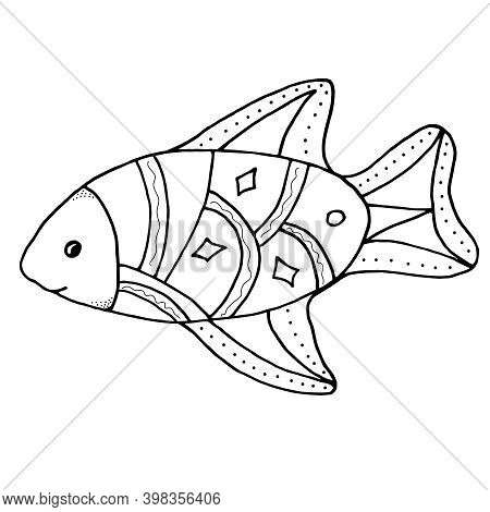 Hand-drawn Contour Vector & Photo (Free Trial) | Bigstock