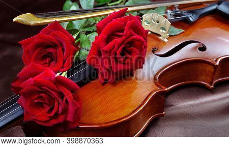 Red Roses Violin Close Image & Photo (Free Trial) | Bigstock