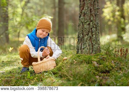 Picking Season, Image & Photo (Free Trial) | Bigstock