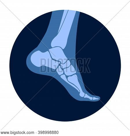 Human Ankle Icon Vector & Photo (Free Trial) | Bigstock