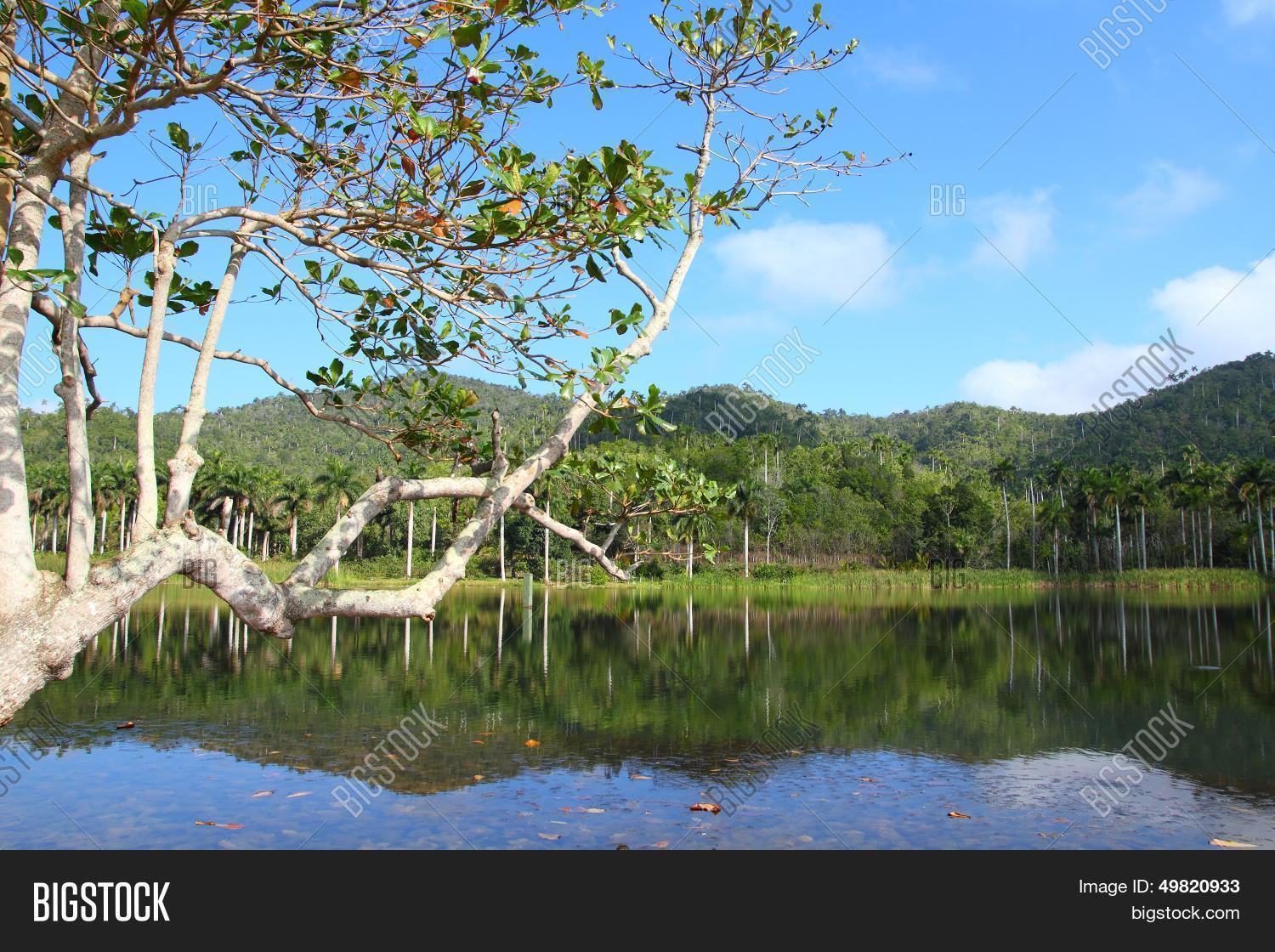 Cuba Nature Image & Photo (Free Trial) | Bigstock