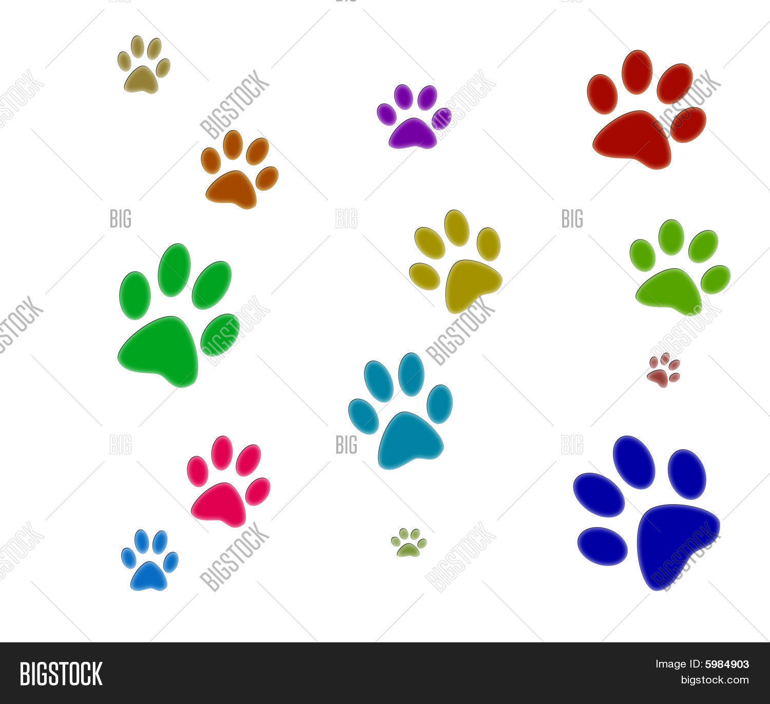 Colorful Paw Prints Image & Photo (Free Trial) | Bigstock