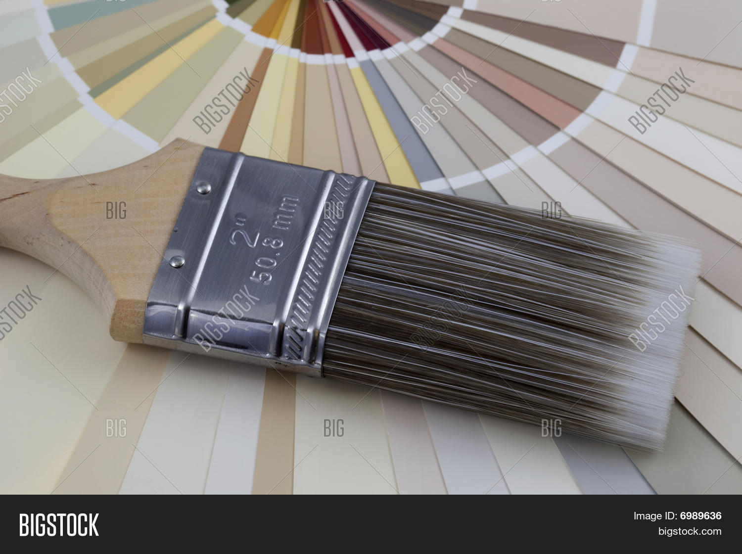 Paintbrush Paint Color Image & Photo (Free Trial) | Bigstock