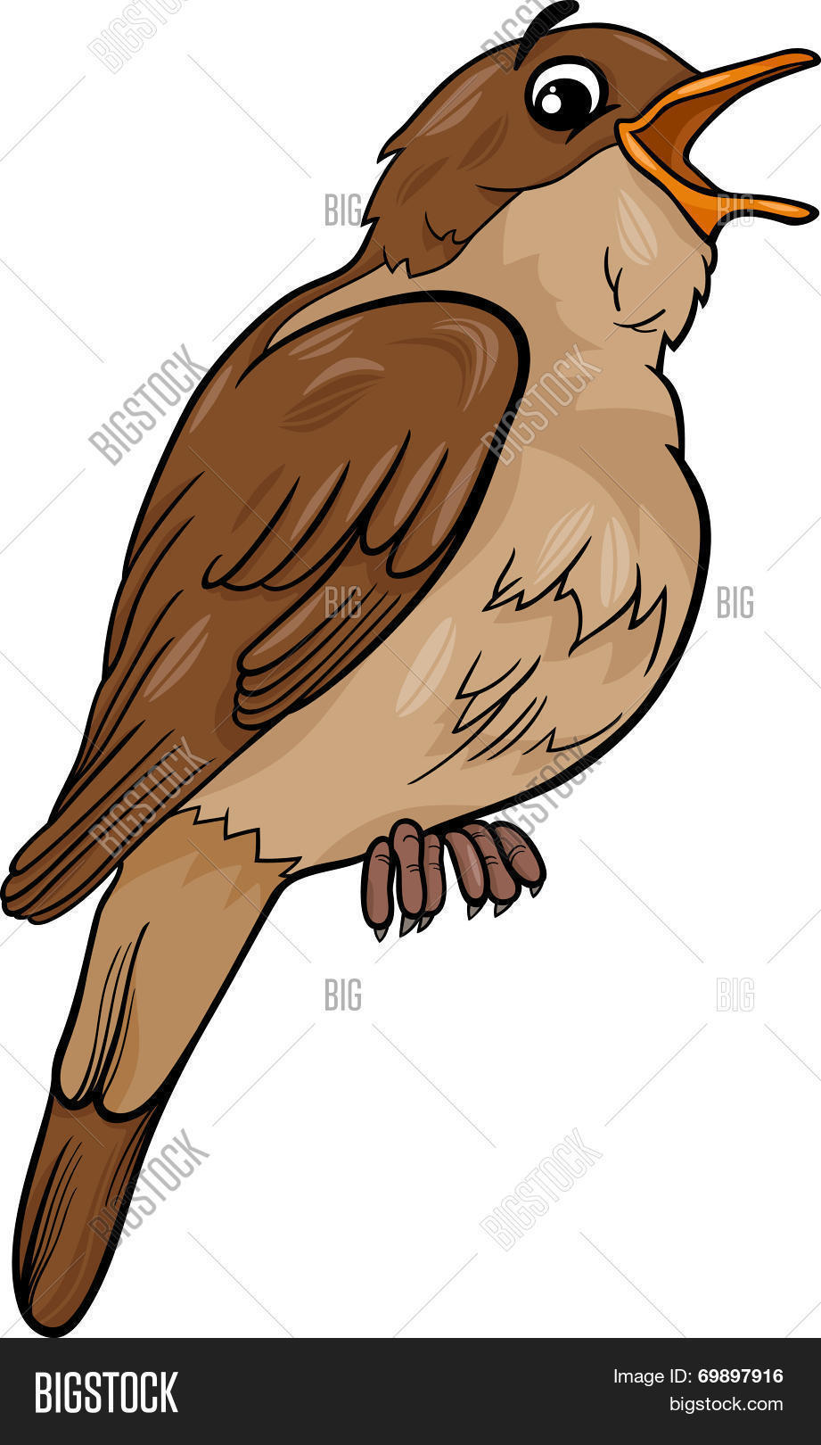 Nightingale Bird Vector & Photo (Free Trial) | Bigstock